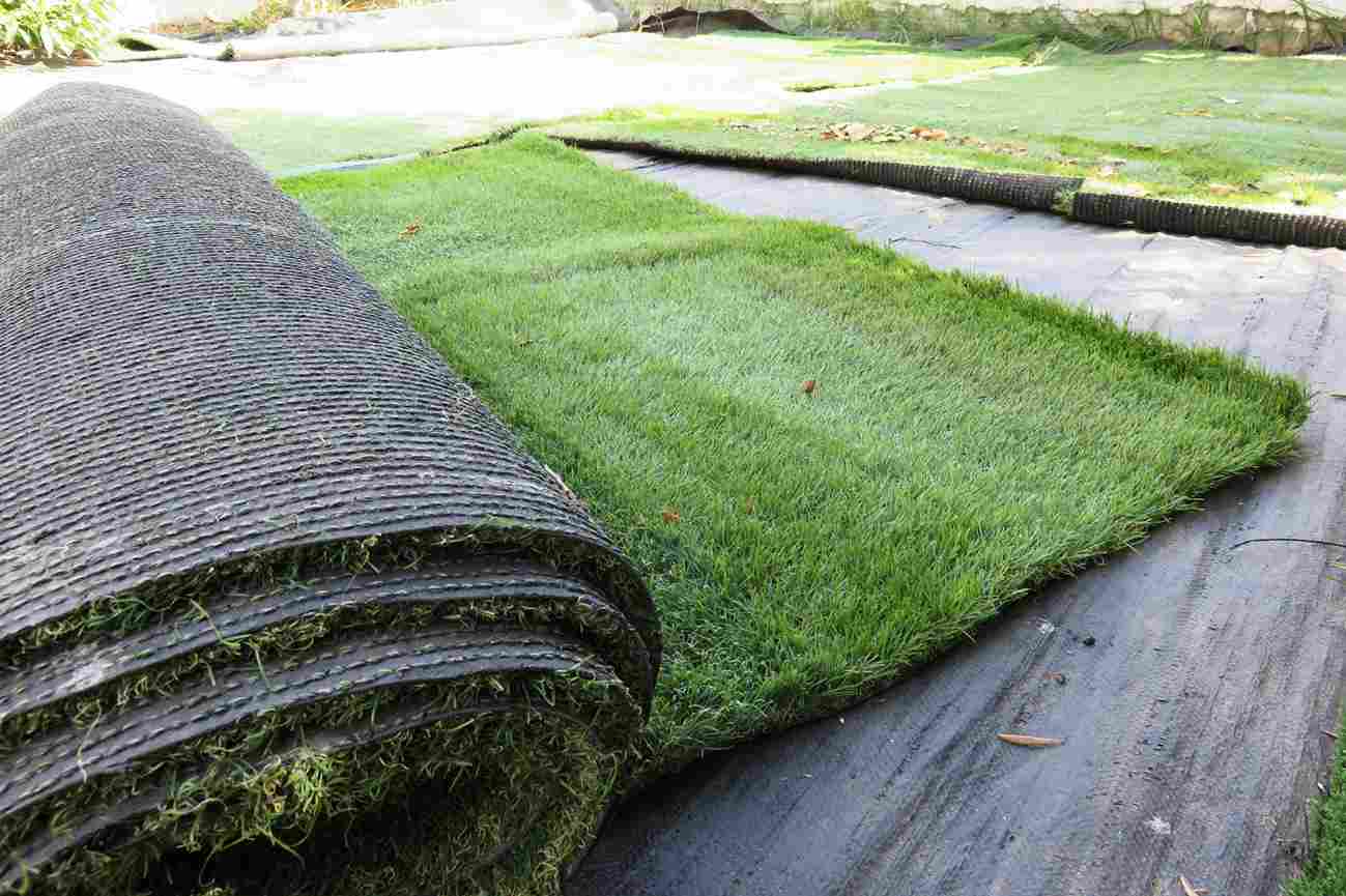 Pasto Sintético en Rollos: La Solución Definitiva para tus Espacios ...